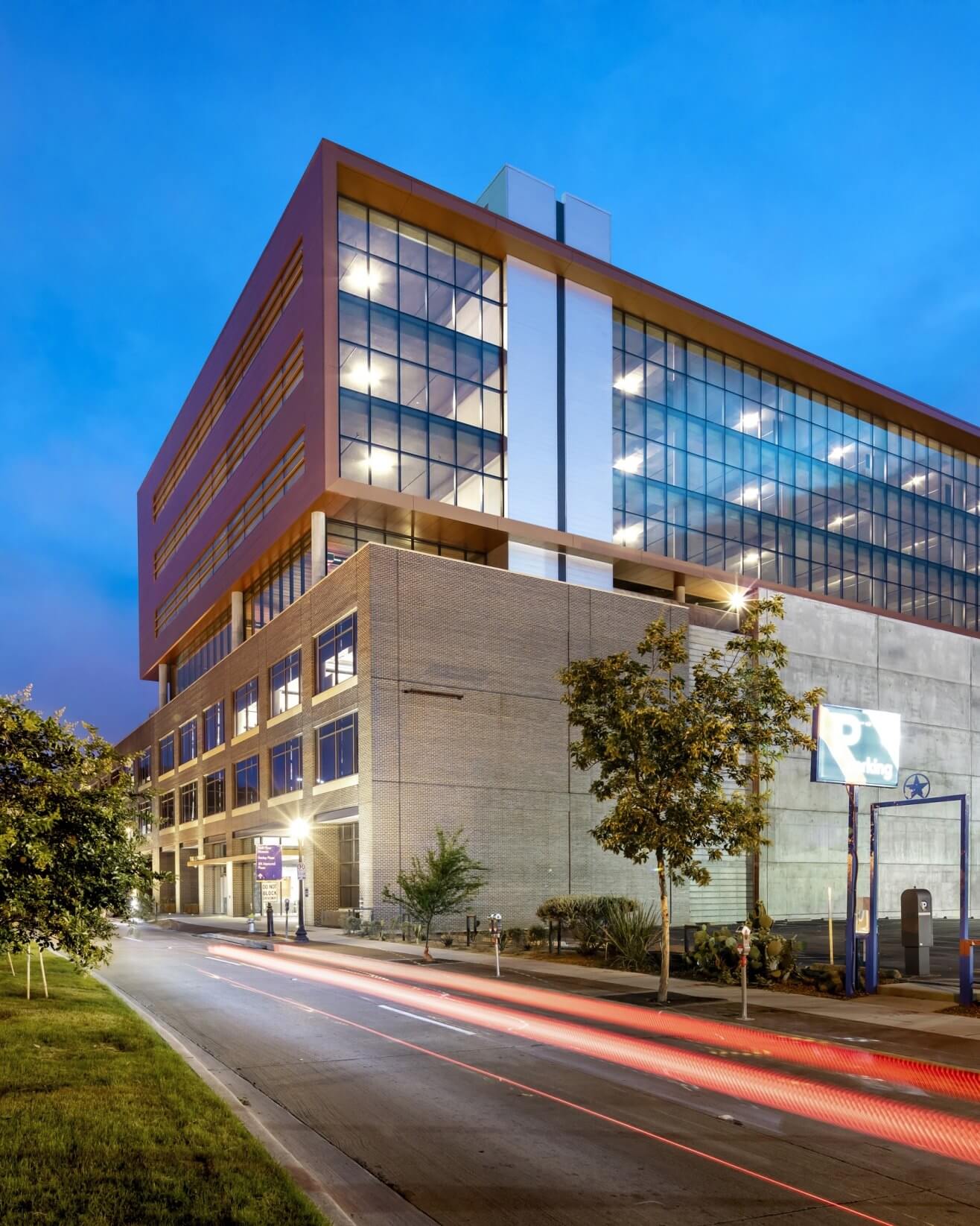 The Luminary | Corgan