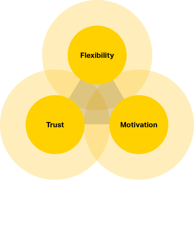 Workforce Blurred: Flexibility, Motivation, and Trust Reinforce One ...